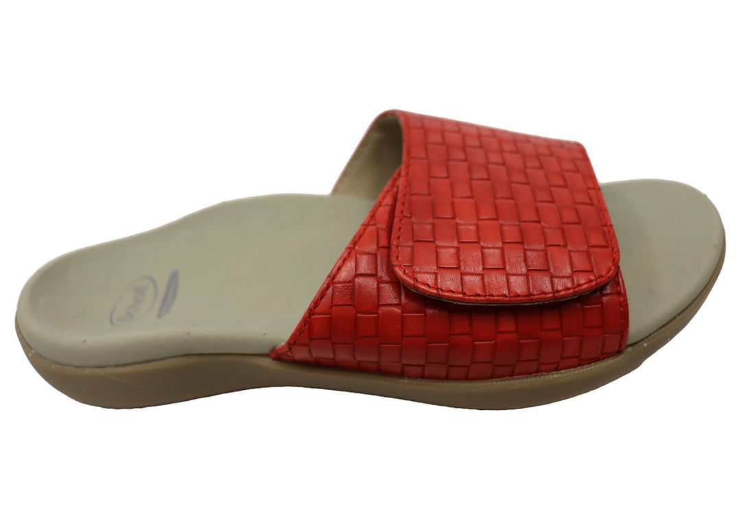 Scholl Orthaheel Samos II Womens Slides Sandals – Brand House Direct