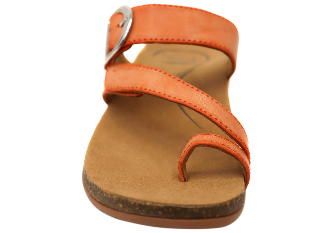 Scholl Orthaheel Ava Womens Thongs Sandals – Brand House Direct